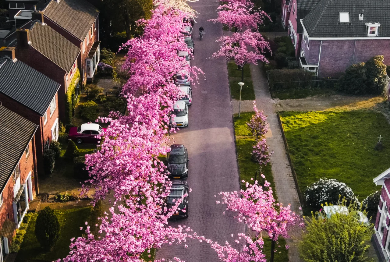 Stadsdeel Oost | Uit in Enschede